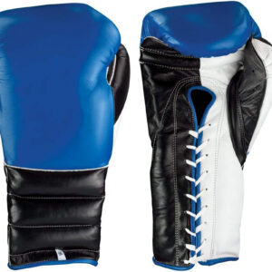 Premium Grant Boxing Gloves